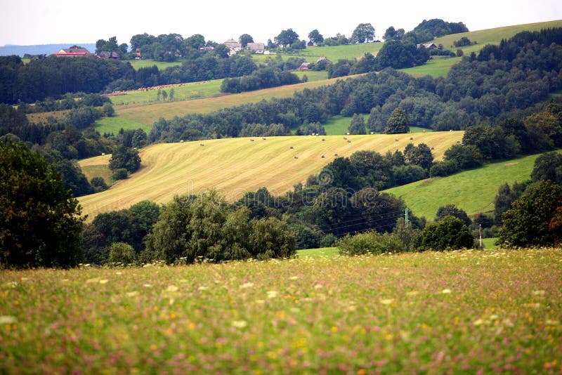 Italian rural countryside stock image. Image of region - 6072303