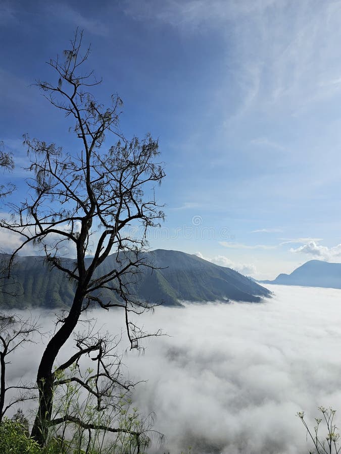 Country Above the Clouds on a Sunny Morning Stock Image - Image of ...