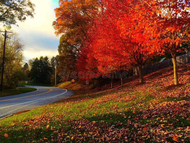 Country Autumn road stock photo. Image of beautiful, autumn - 46328662