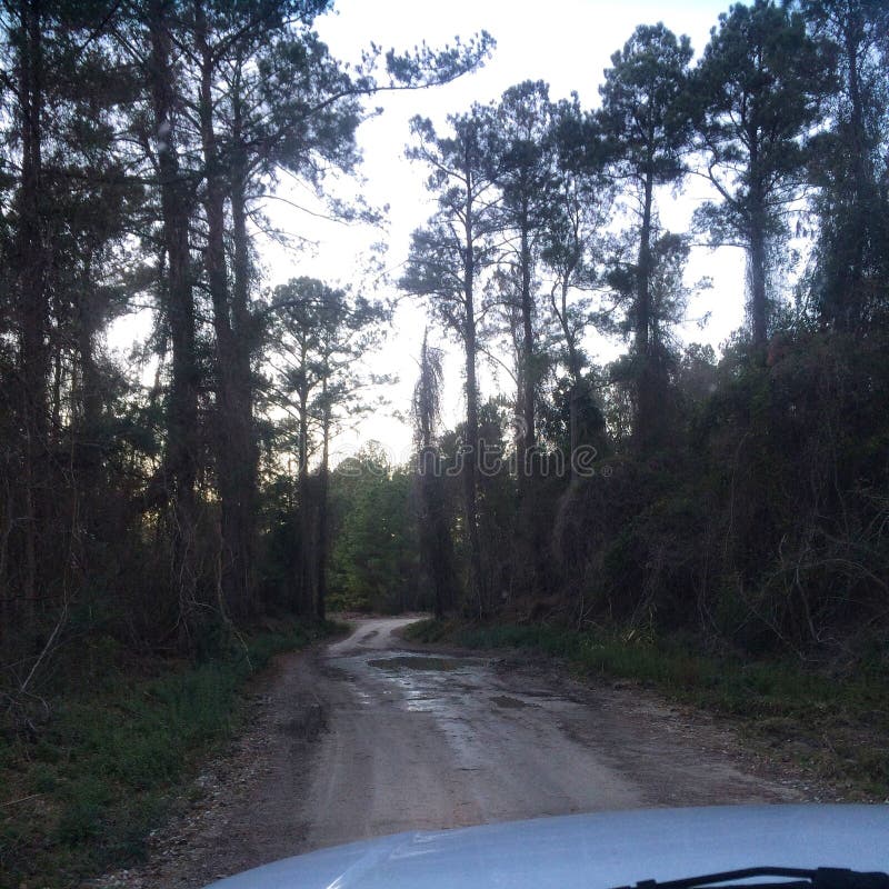 Country back road stock photo. Image of back, country - 51732046