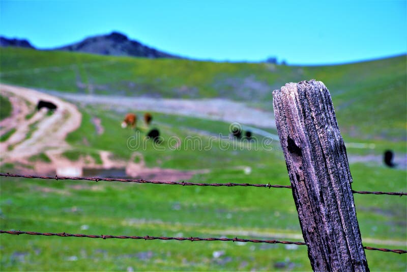 Back roads Indiana stock image. Image of back, roads - 121371983