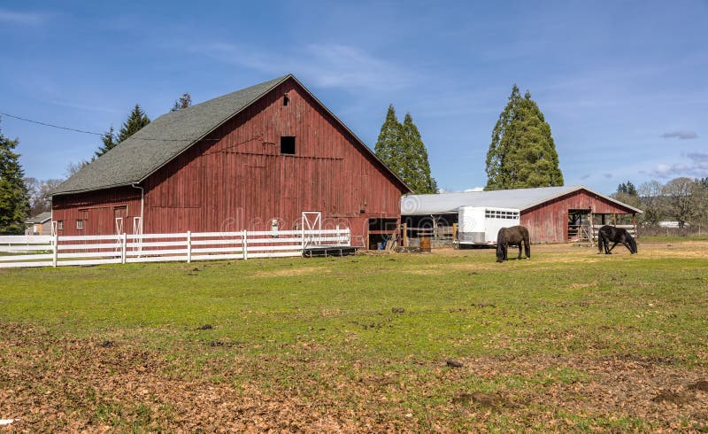 Country Barn and Horses Oregon State Stock Image - Image of seasons ...