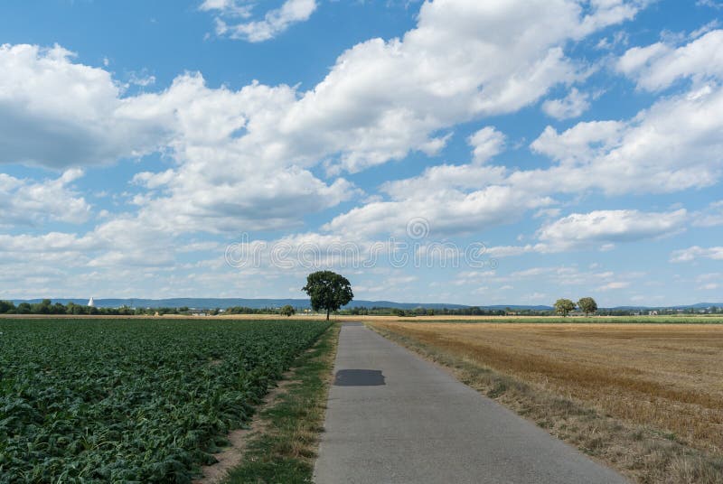 Country Bike Path stock photo. Image of puffy, country - 91547730