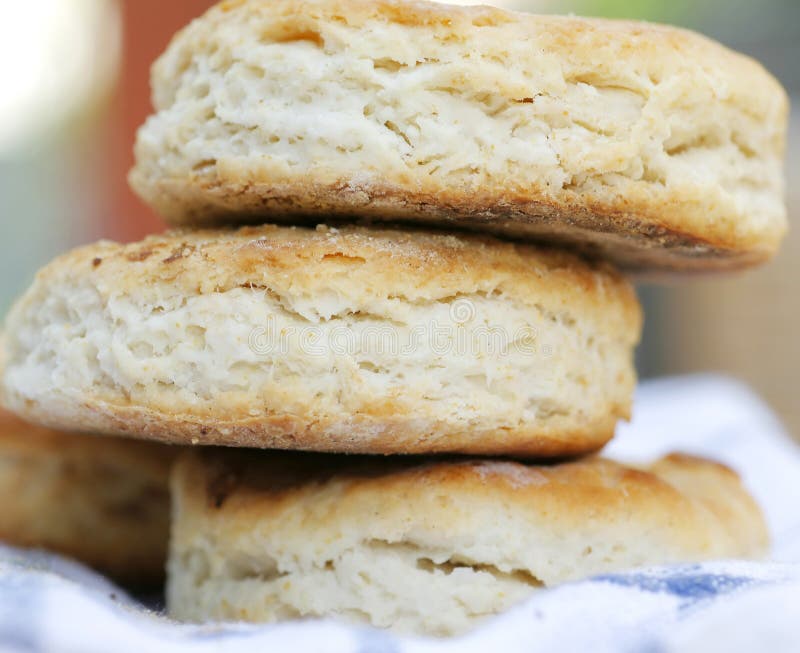 Country Biscuits stock image. Image of biscuit, morning - 5700295