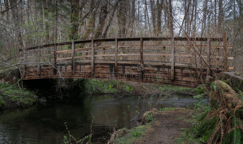 Country Bridge stock photo. Image of trail, stream, ferns - 91525834