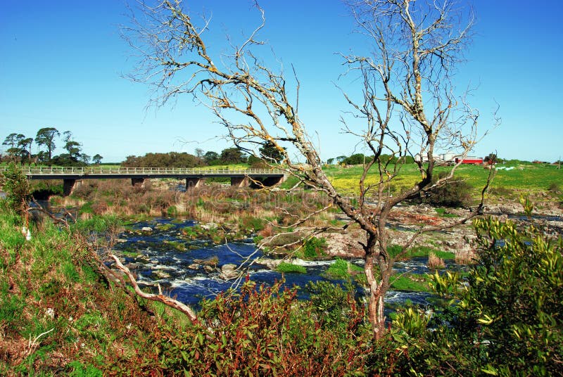 Country bridge stock image. Image of rural, rapids, tree - 43254777