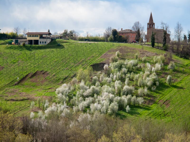 Solignano Stock Photos - Free & Royalty-Free Stock Photos from Dreamstime