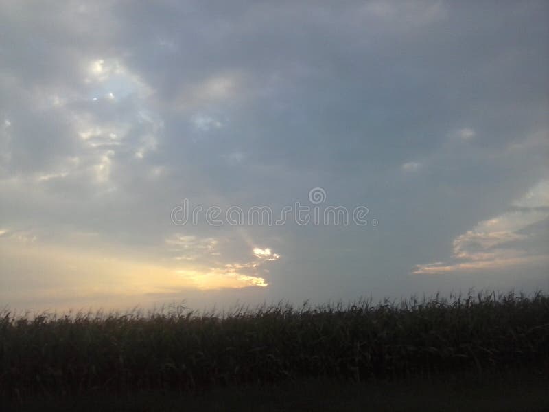 Country stock image. Image of time, dusk, wind, grassland - 48881439