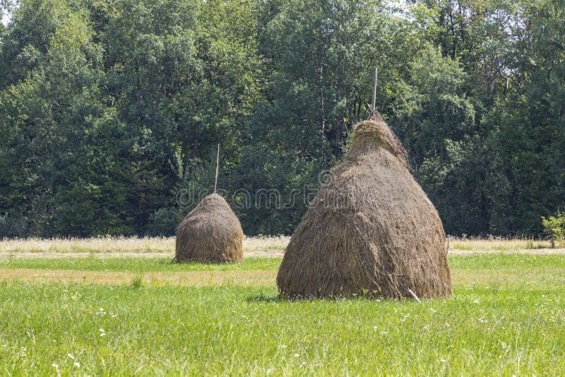 Country Concept. Haystacks in a Forest Glade Stock Image - Image of ...