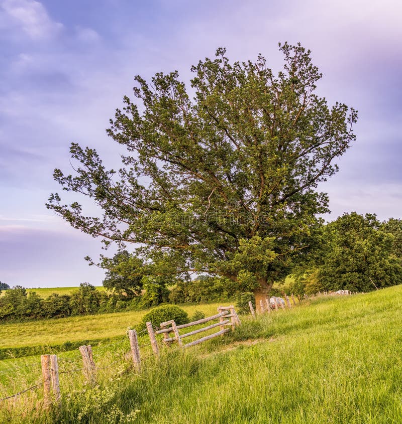 Country, Countryside, Daylight Picture. Image: 118546057