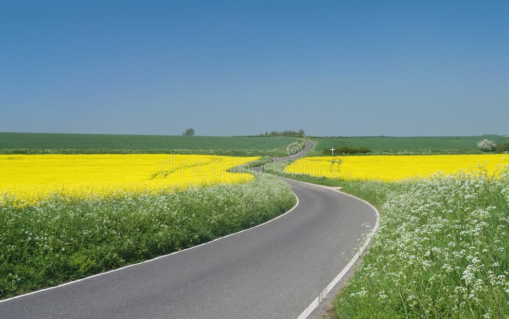 Country cross-roads stock image. Image of landscape, single - 5110869