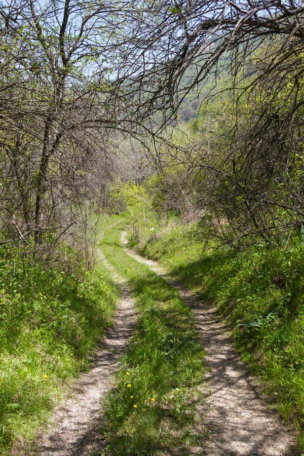 Country Dirt Road Running Along Trees in Spring Stock Image - Image of ...