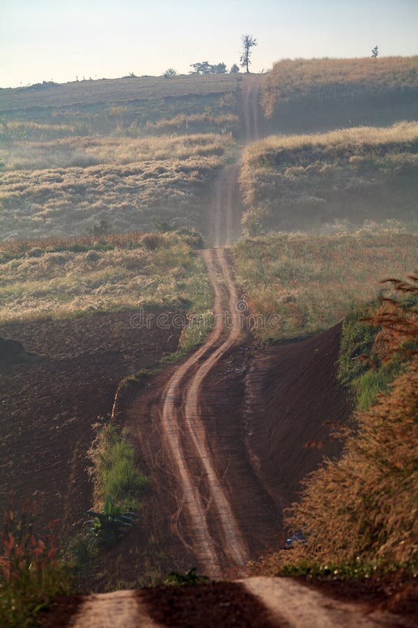 Country Dirt Road in Shadow and Sunlight Stock Image - Image of bright ...
