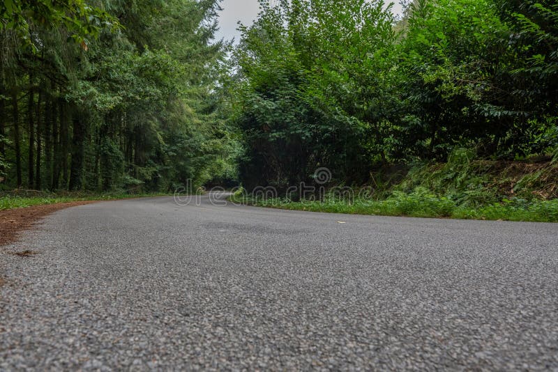Country drive stock image. Image of traffic, driving - 280157537