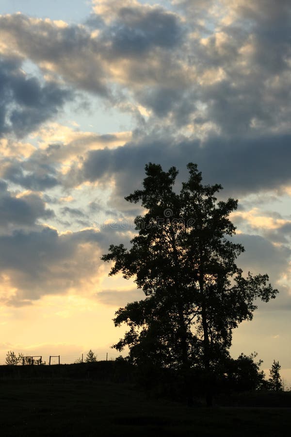 Country Dusk stock image. Image of luminescent, tree, sunset - 5347801
