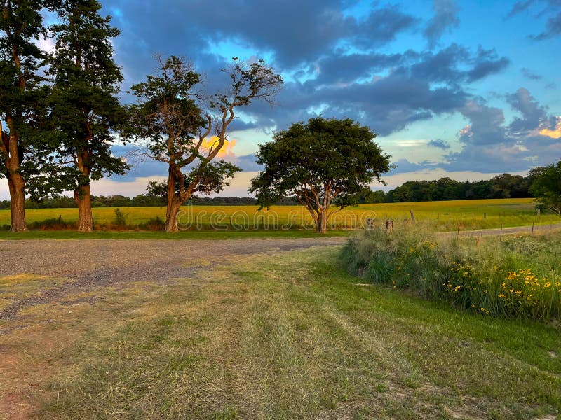 Dusk stock photo. Image of fields, blue, dusk, trees - 258815430
