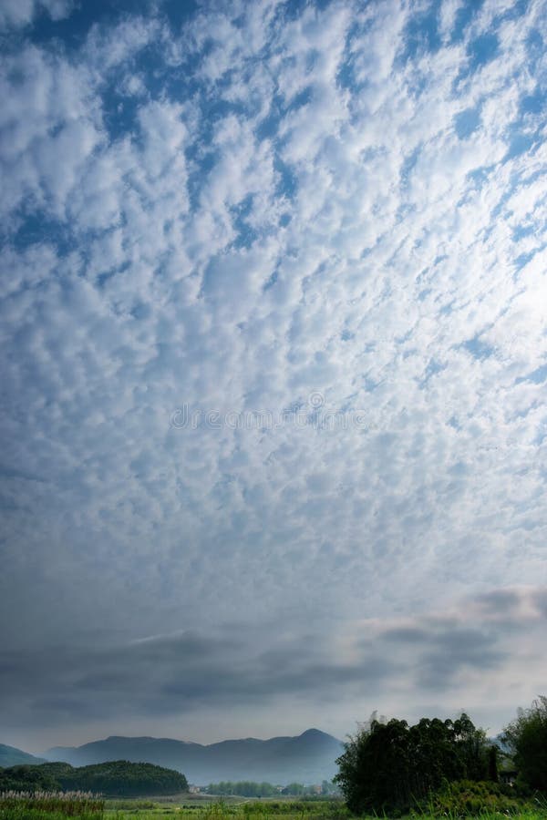 The country evening sky i. stock image. Image of charming - 144044089