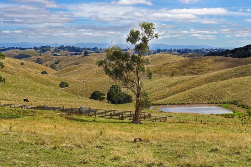 Country farm stock photo. Image of meadow, field, land - 153780388