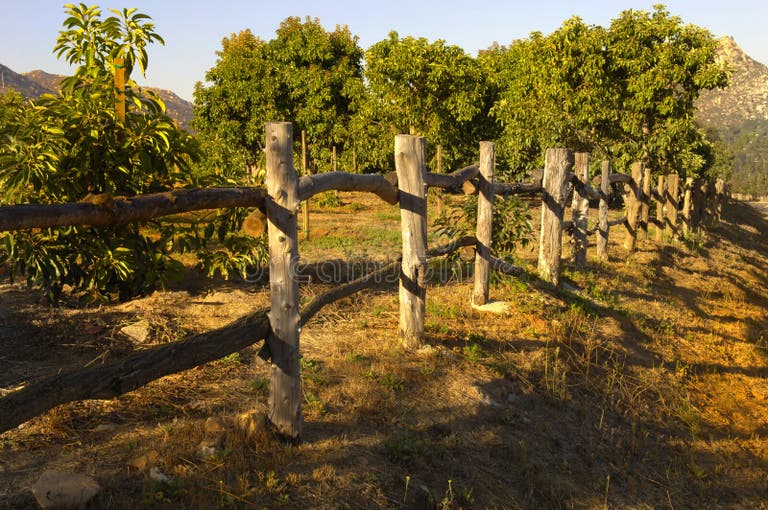 Country Fence stock photo. Image of country, trees, green - 320532