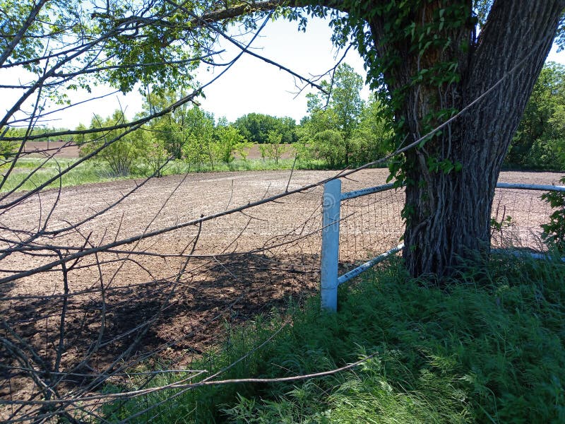 Country Fence Corner stock image. Image of farm, dirt - 148073381