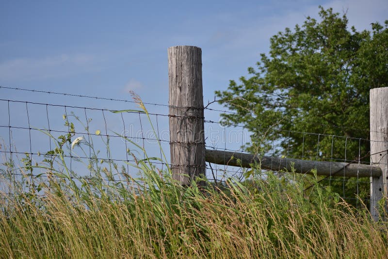 Country Fence Row stock image. Image of fence, mend, feilds - 43786797