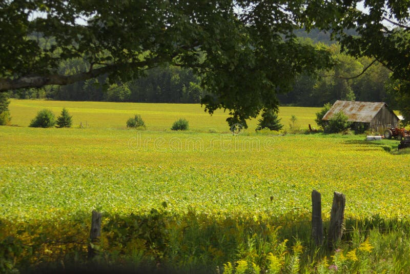 Country Field stock photo. Image of field, barn, meadow - 13986124