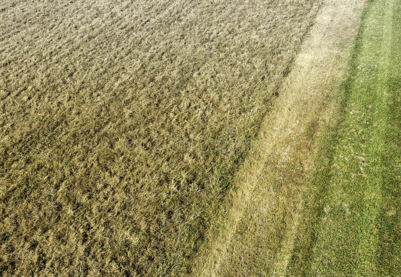 Country field stock image. Image of food, countryside - 27099223