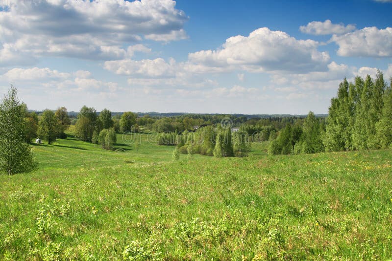 Country field stock image. Image of environment, high - 5209383