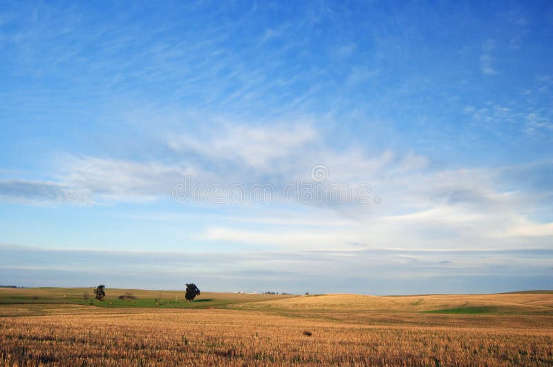 Country field stock photo. Image of farm, clouds, stratus - 600810