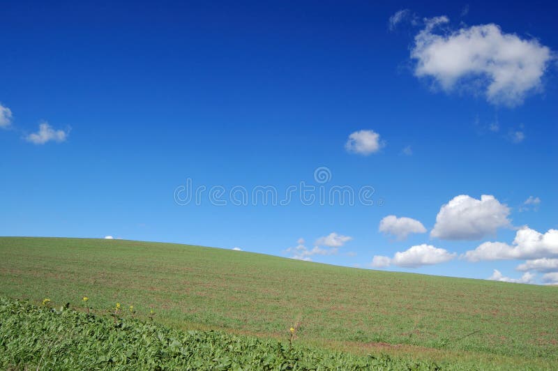 Country field stock photo. Image of blue, cumulus, puffy - 600908