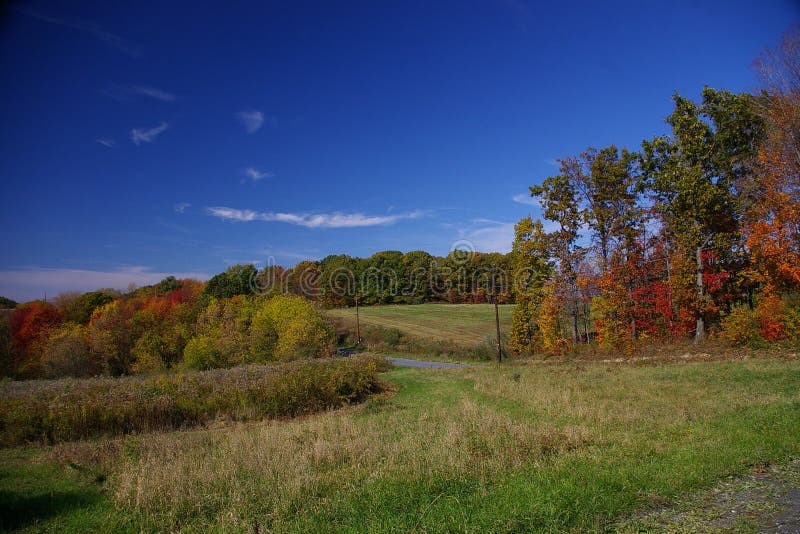 Country field in the Fall stock image. Image of delaware - 979255