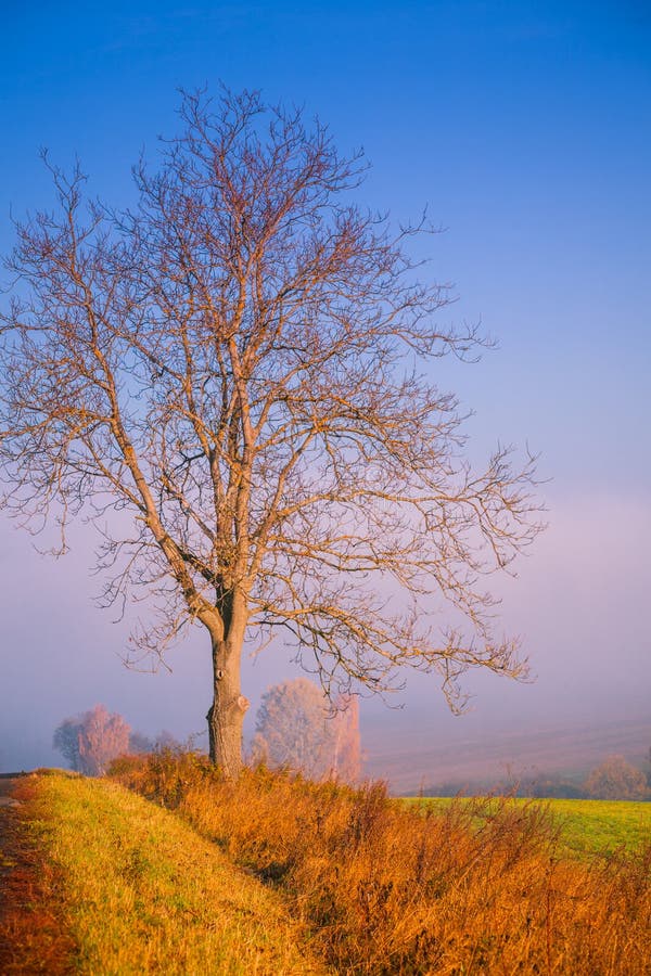 Country Field Landscape on Autumn Day Stock Photo - Image of landscape ...