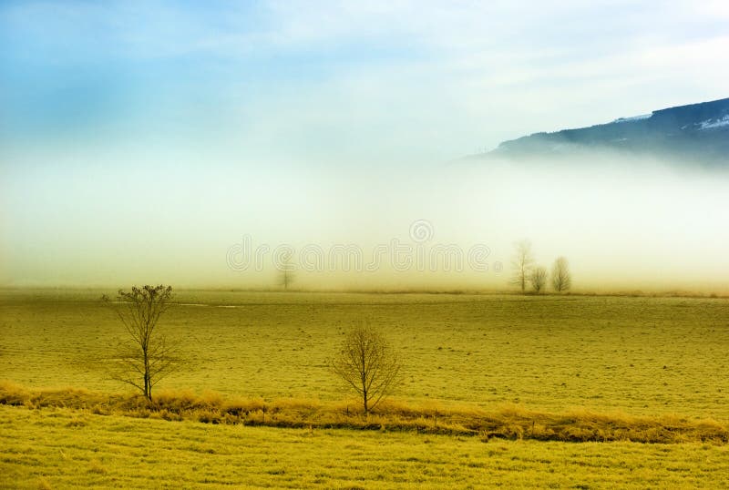 Country Field Morning Landscape Stock Image - Image of field, scenic ...