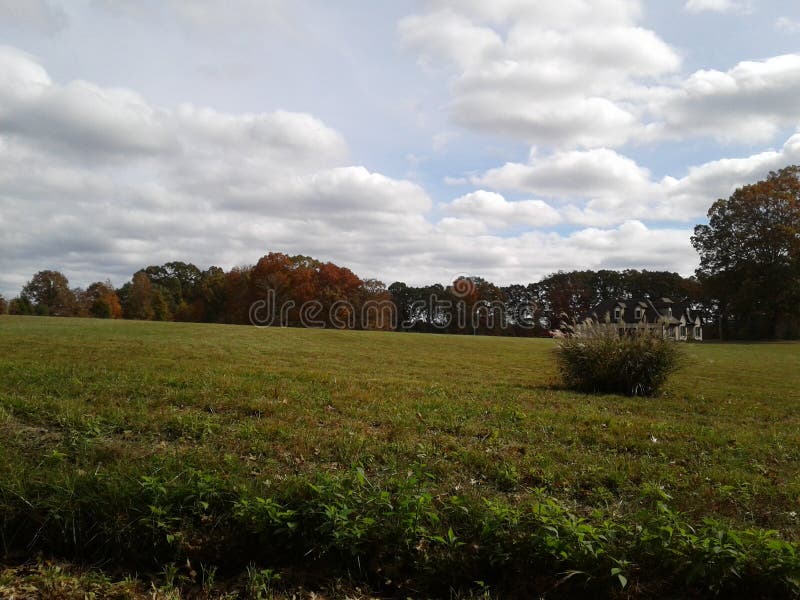 Country fields stock photo. Image of country, skies - 132265272