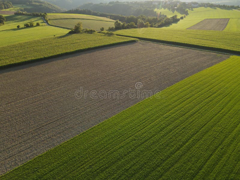 Country Fields on a Sunny Evening in Summer Stock Photo - Image of ...