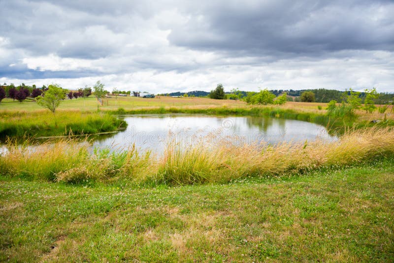 Country Fish Pond stock photo. Image of oregon, water - 60957366