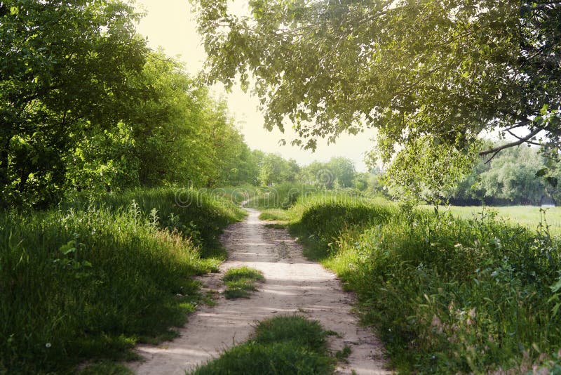 Country Footpath and Steps in the North Yorkshire Moors, England Stock ...
