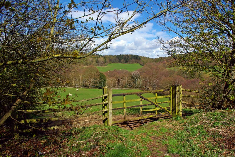 Country Gate stock photo. Image of explore, entry, hedge - 966690