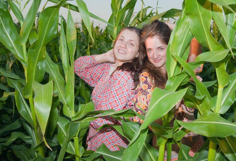 Country Girls In Corn Field Stock Image - Image: 12509335