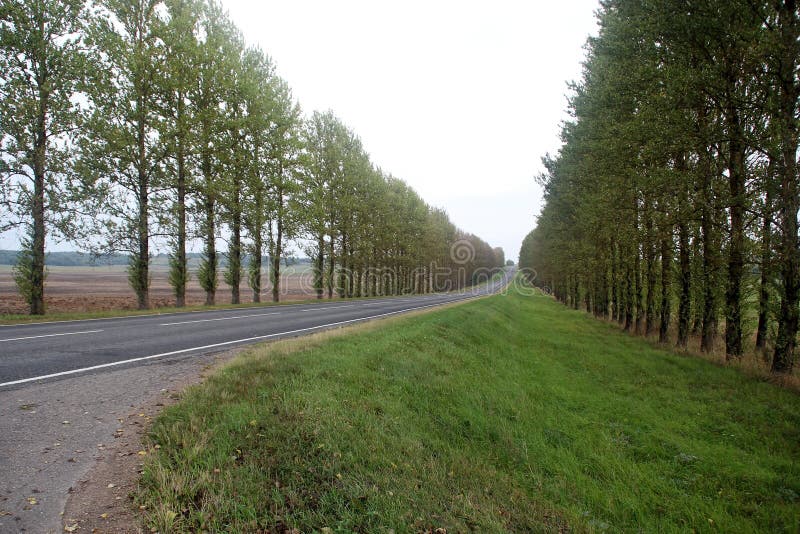 Country highway stock image. Image of natural, asphalt - 134708579