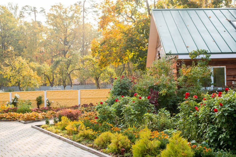 Country House in Autumn. a Path with Flowers and Fruit Trees Stock ...