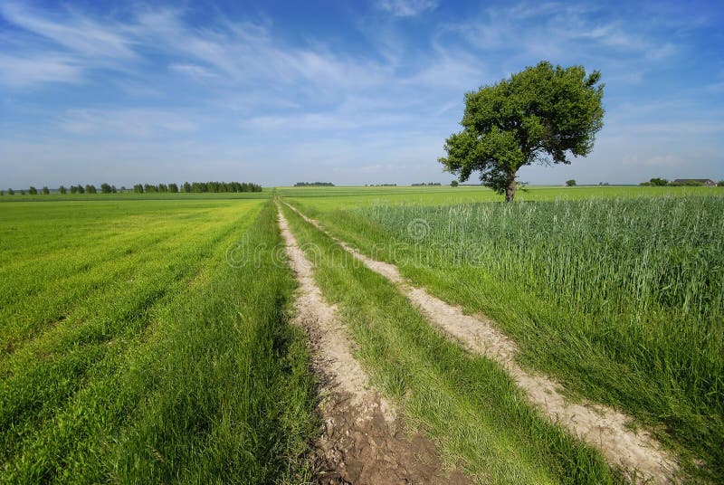 Country landscape stock image. Image of village, country - 14501247