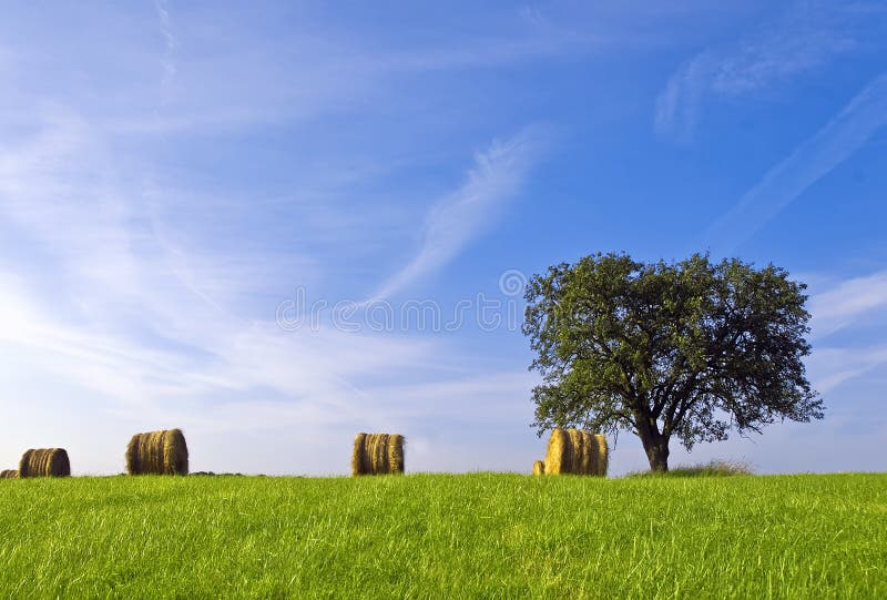 Country landscape stock image. Image of straw, rural - 19111983