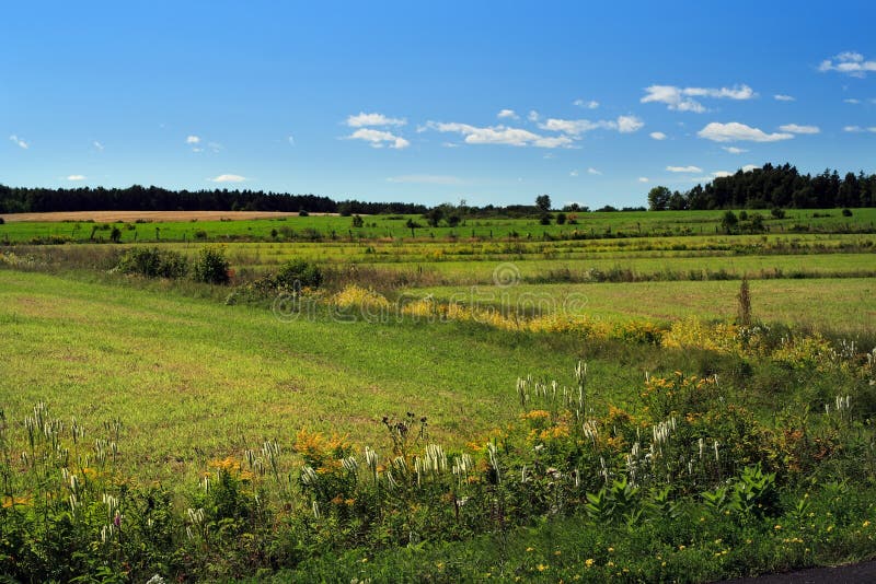 Country landscape stock image. Image of scenery, countryside - 3103207
