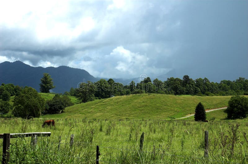 Country Landscape stock photo. Image of animal, landscape - 531650