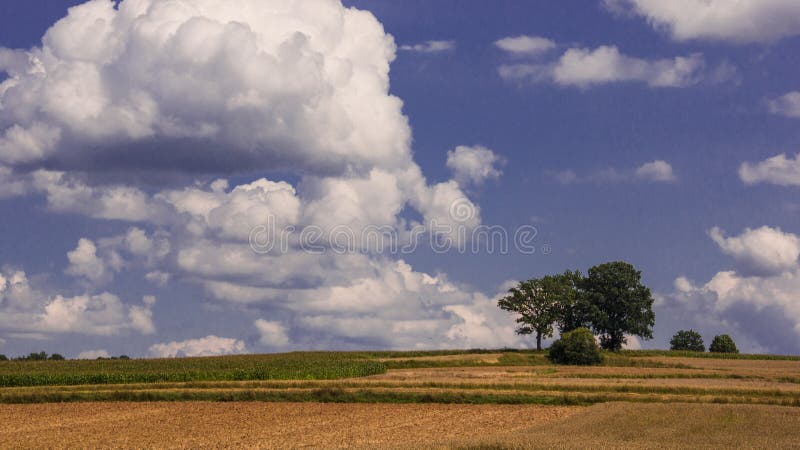 Country Landscape with Blue Sky and Green Grass Stock Image - Image of ...