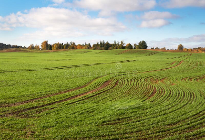 Country Landscape with Field Stock Photo - Image of spring, blue: 153814836