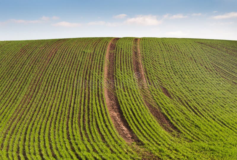 Country Landscape with Field Stock Image - Image of outdoor, natural ...