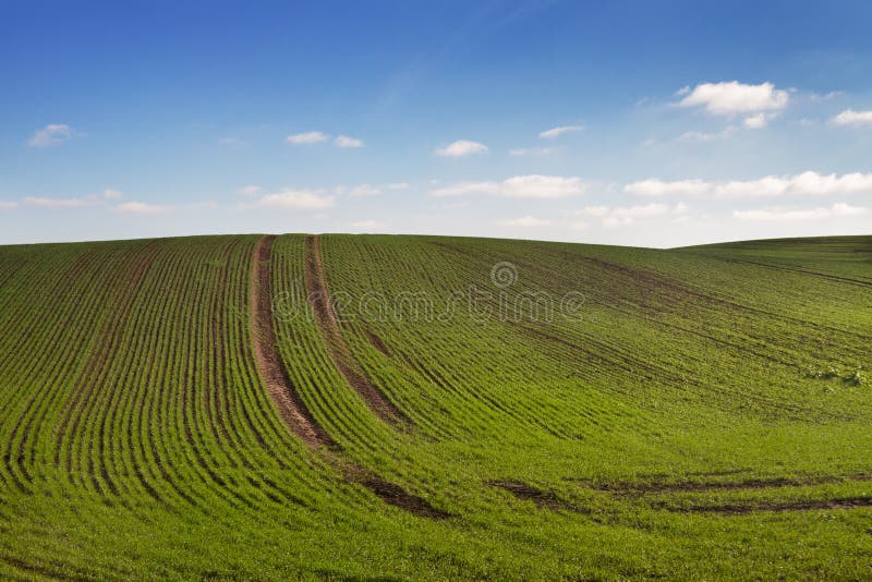 Country Landscape with Field Stock Photo - Image of beautiful, lawn ...