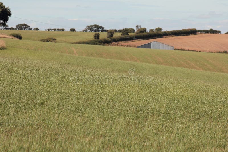 Country Landscape with Fields and Barn Stock Image - Image of crops ...